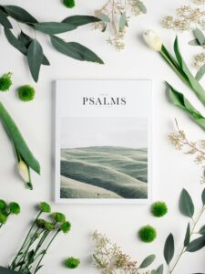 Psalms Overview: Introduction and What They're About - Ethnos360 Bible ...