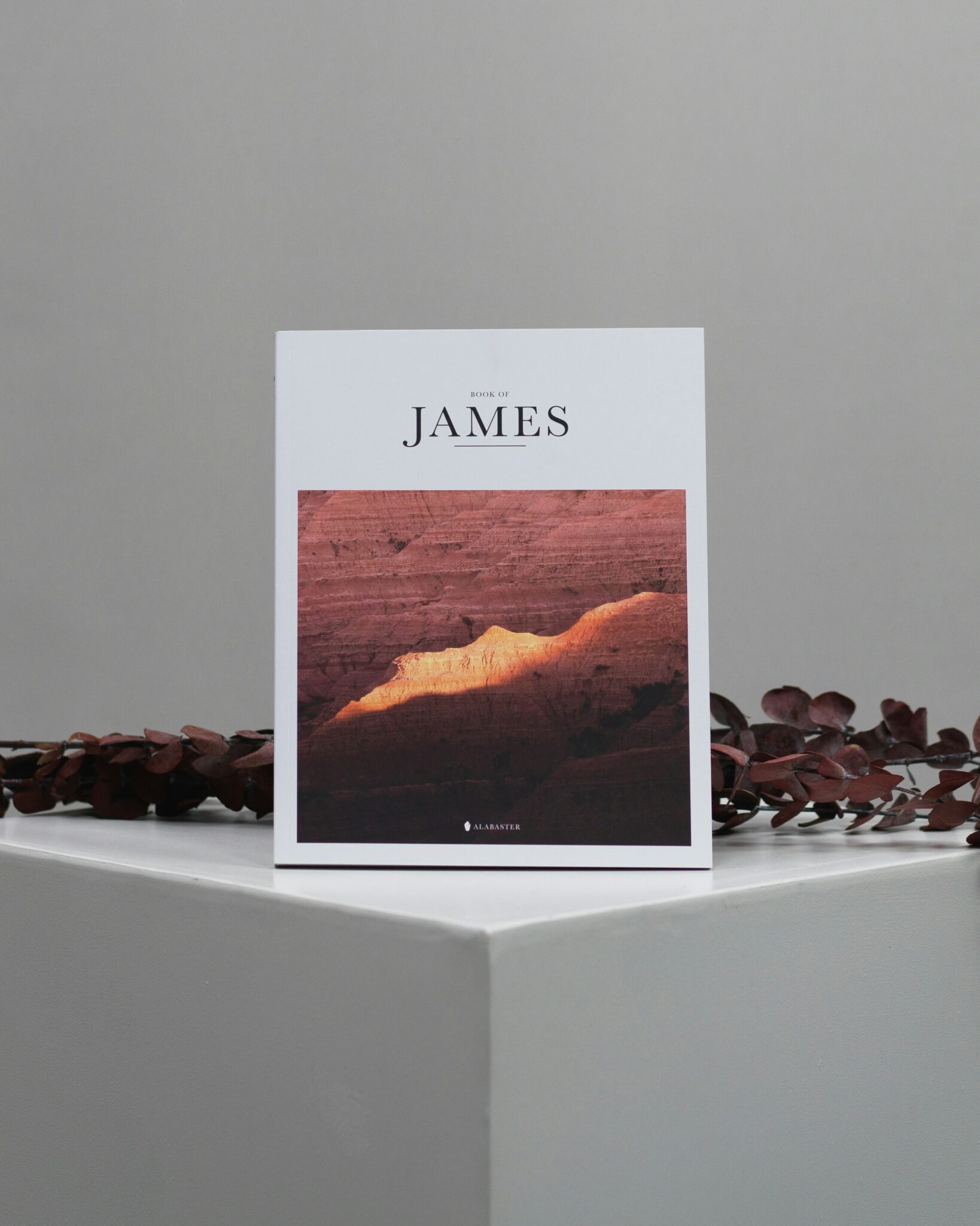 Who wrote the book of James? An Introduction and Outline - Ethnos360 ...